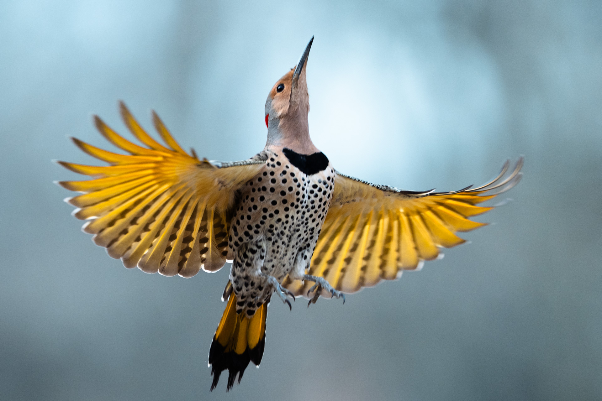 Allen Kurth - Group 02 - PSA ND IMAGE DISCUSSION GROUPS