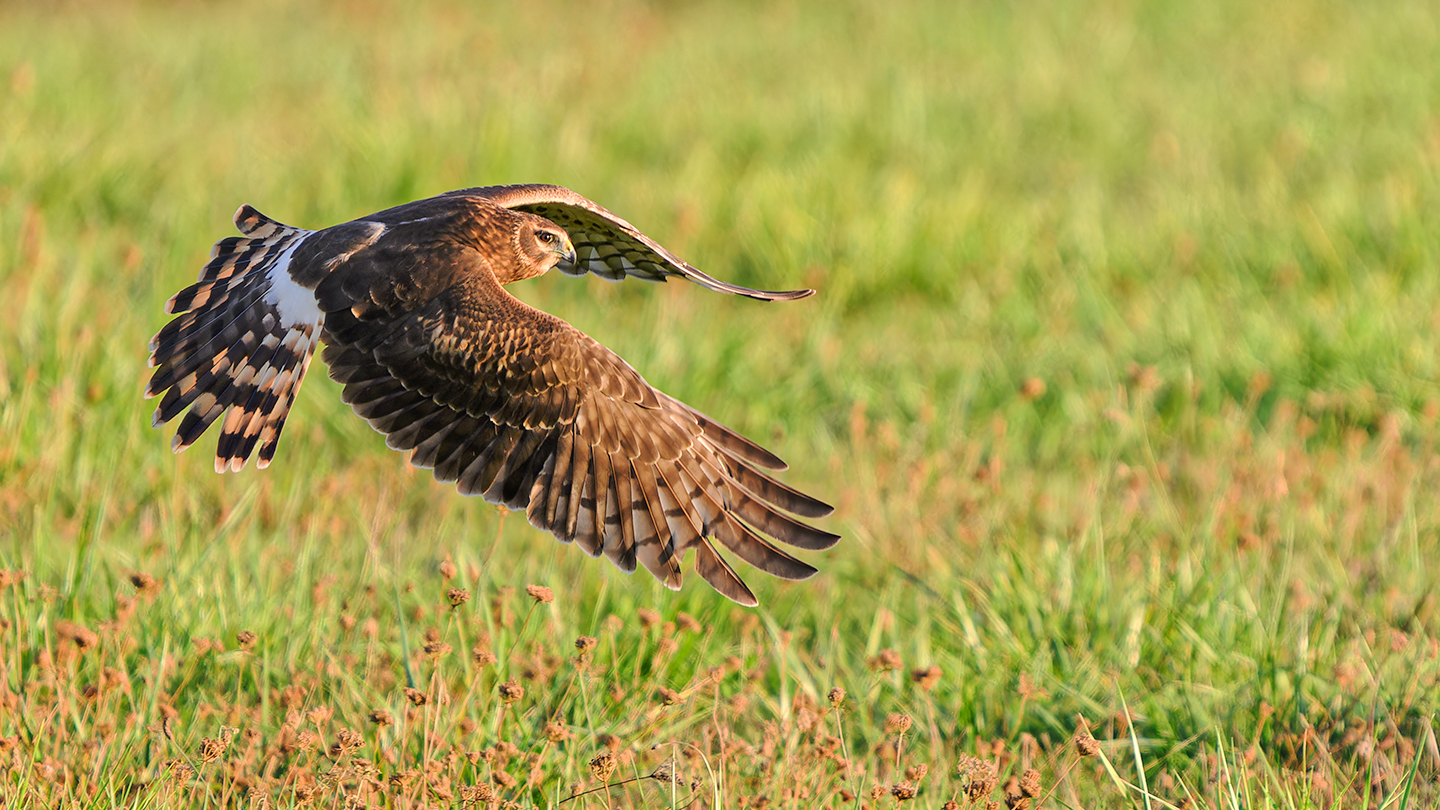 James Nelson - Group 02 - PSA ND IMAGE DISCUSSION GROUPS