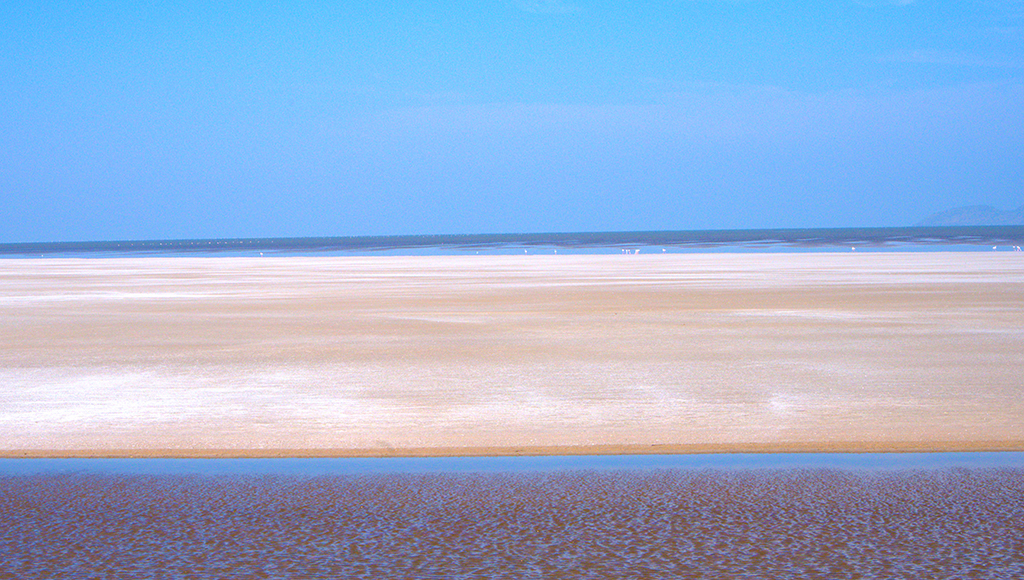 Subhash Sapru - Group 02 - PSA PTD IMAGE DISCUSSION GROUPS