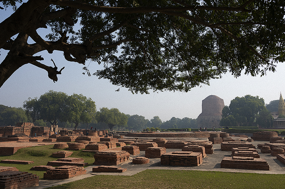 Subhash Sapru - Group 02 - PSA PTD IMAGE DISCUSSION GROUPS