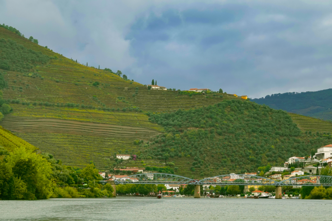 Dr Edward Goldenberg - Group 04 - PSA PTD IMAGE DISCUSSION GROUPS